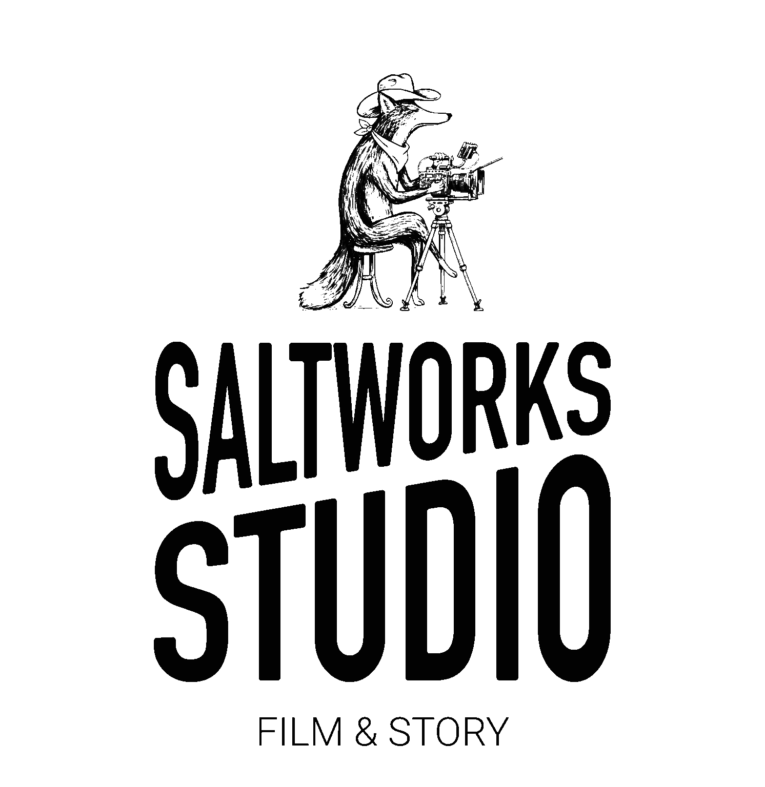 About Us – Saltworks Studio